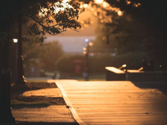 A-State track and field athletes receive honors - Jonesboro Right Now