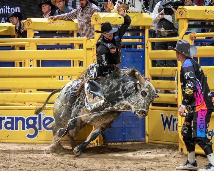 Championship Pro Rodeo Returning to Jonesboro, 2,000 Pound Bull to Make ...